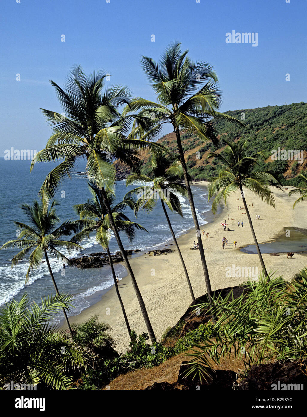 Arambol beach goa hi-res stock photography and images - Alamy