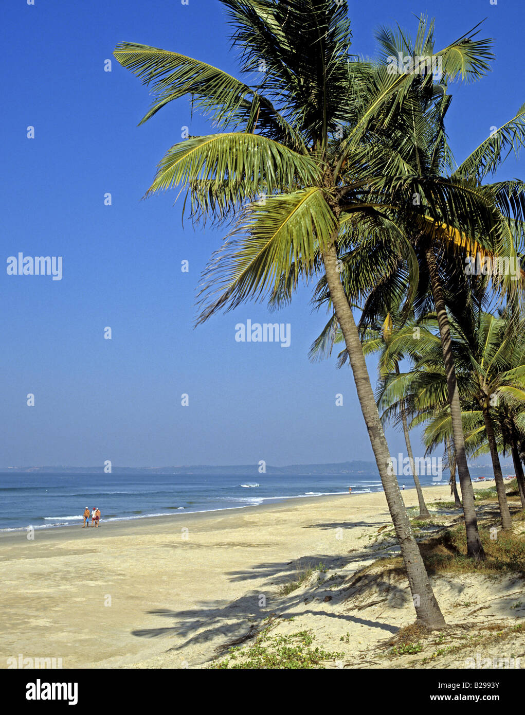 Majorda beach goa india hi-res stock photography and images - Alamy