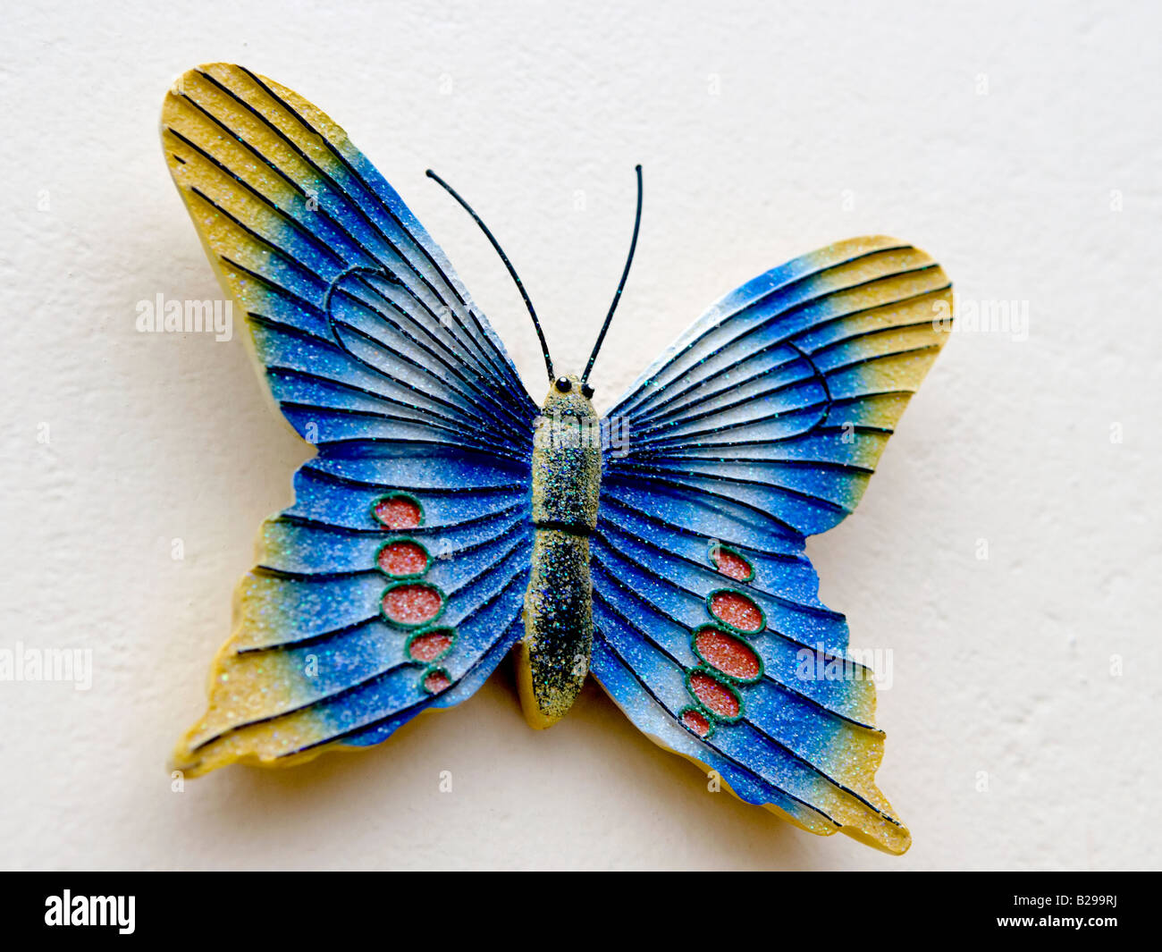 Mounted butterfly hi-res stock photography and images - Alamy