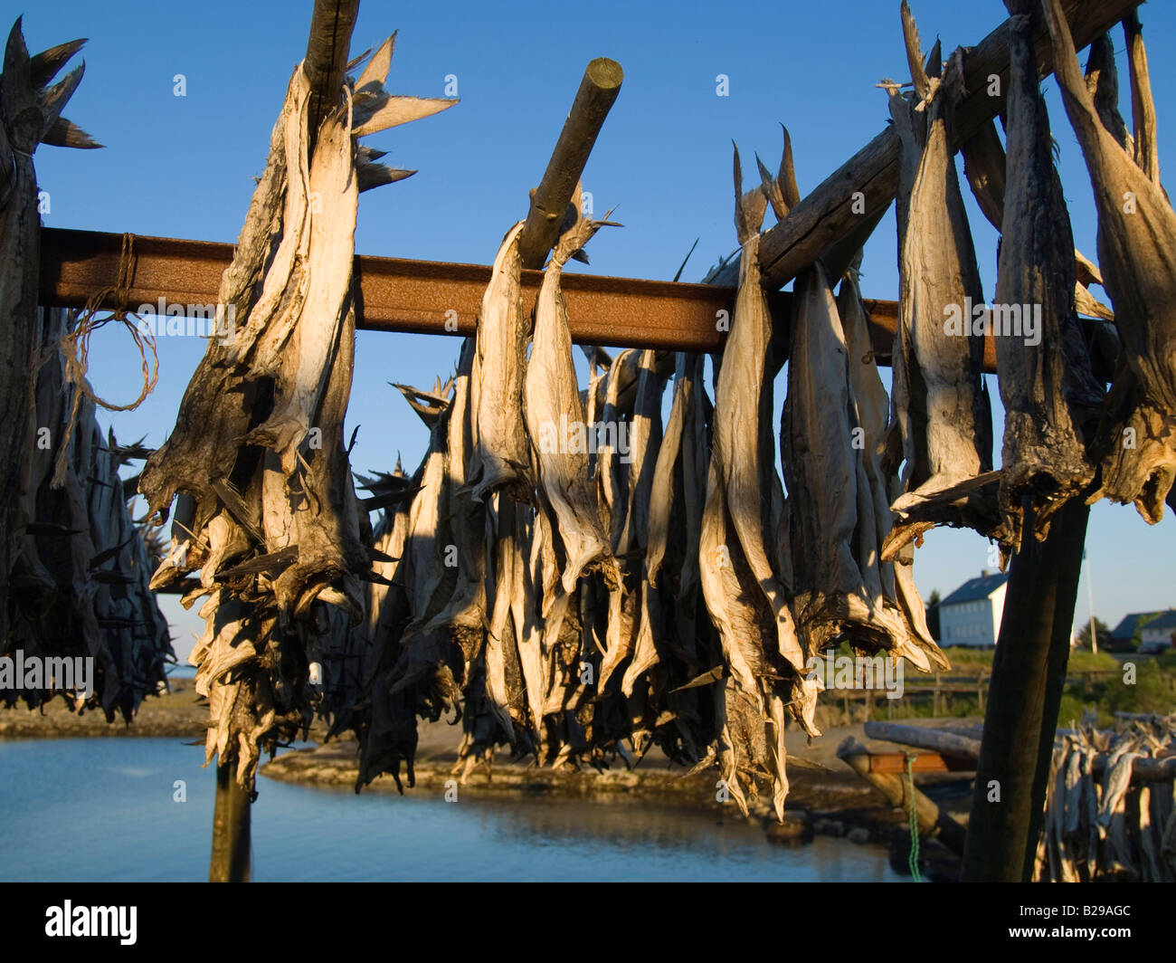 Dried cod hi-res stock photography and images - Alamy