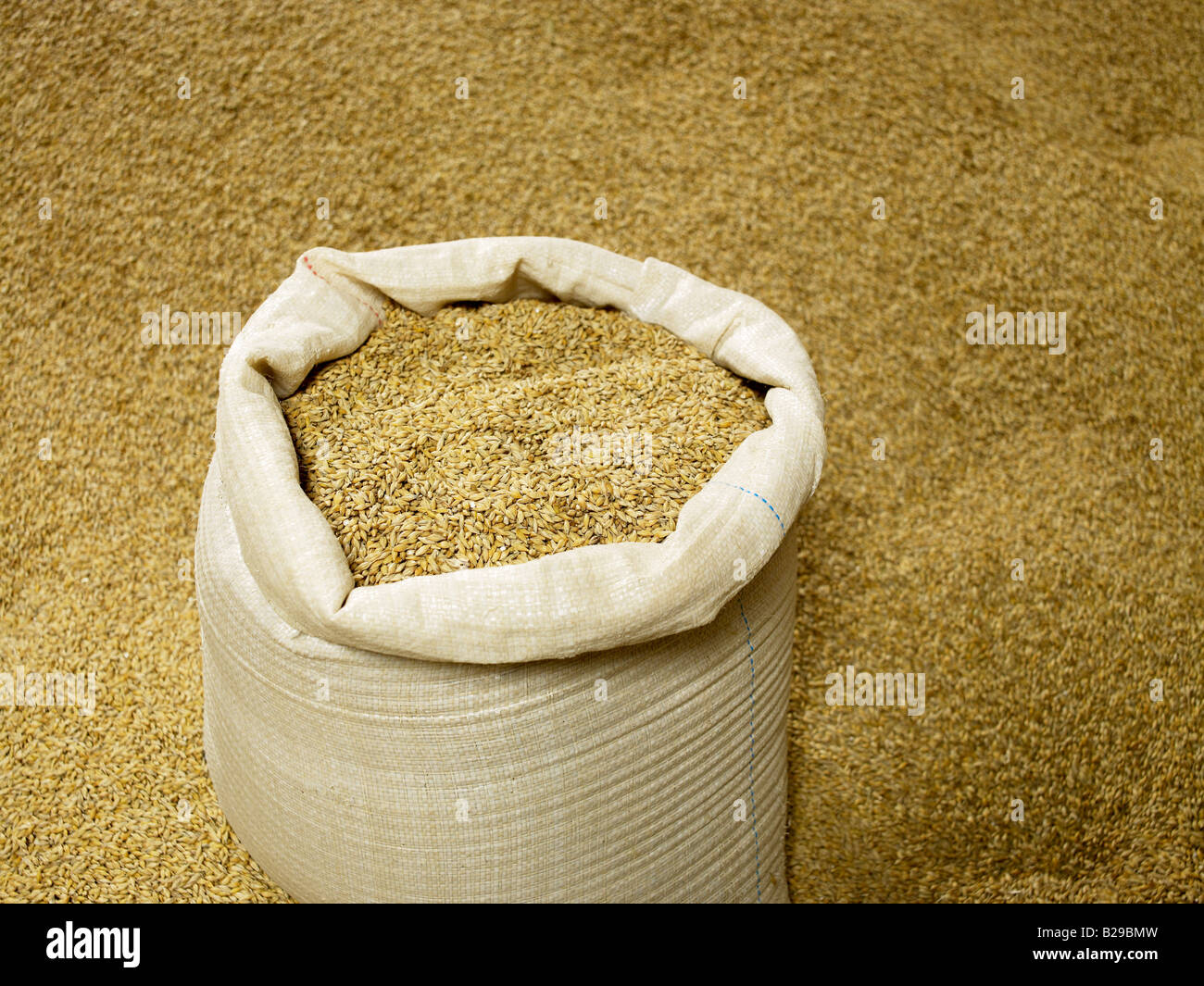 BARLEY in a bag more BARLEY CORN behind Stock Photo - Alamy