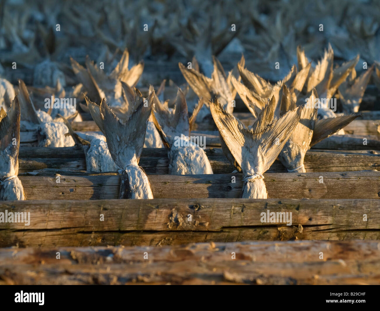 Dried cod hi-res stock photography and images - Alamy