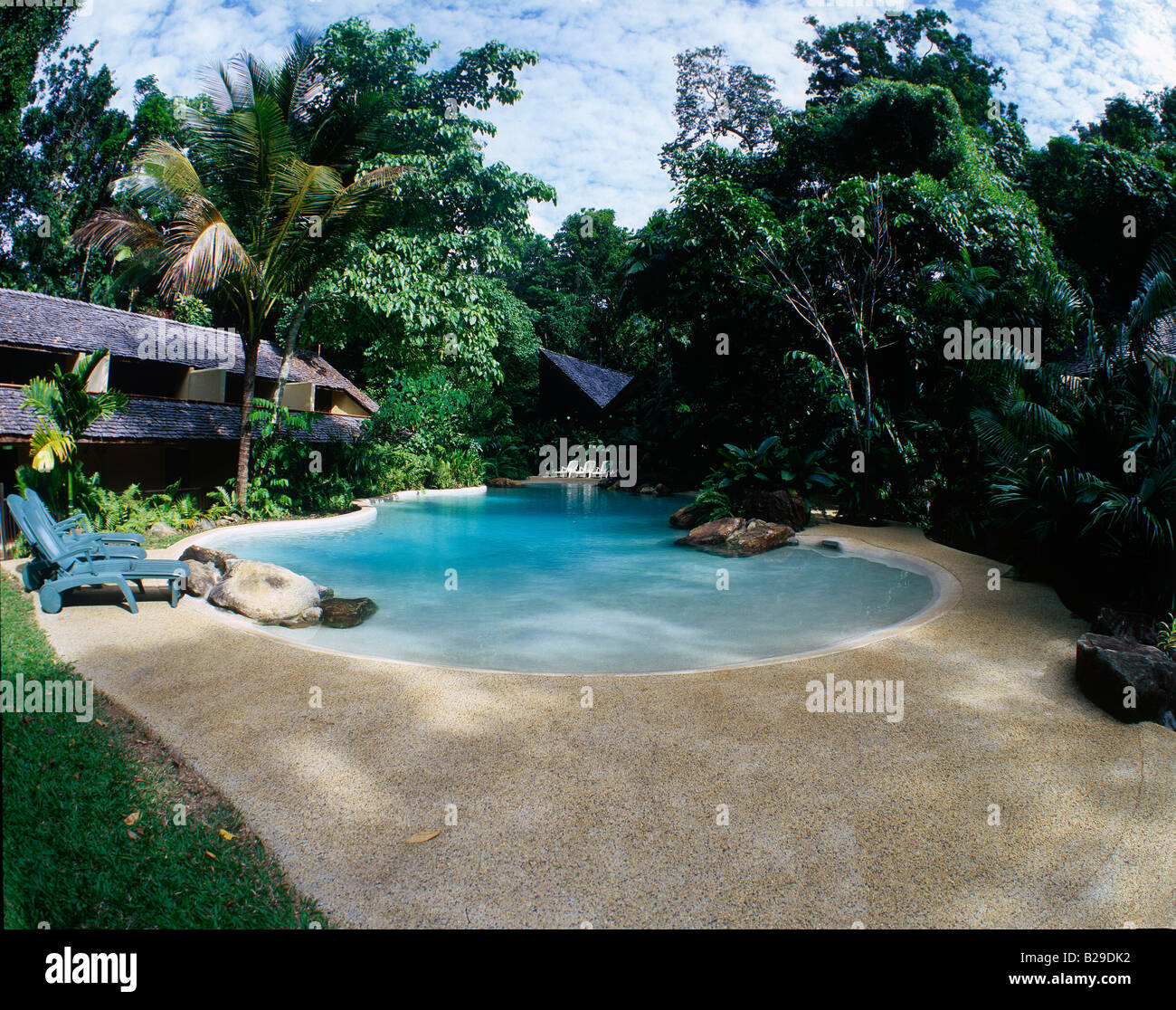 Ferntree hi-res stock photography and images - Alamy