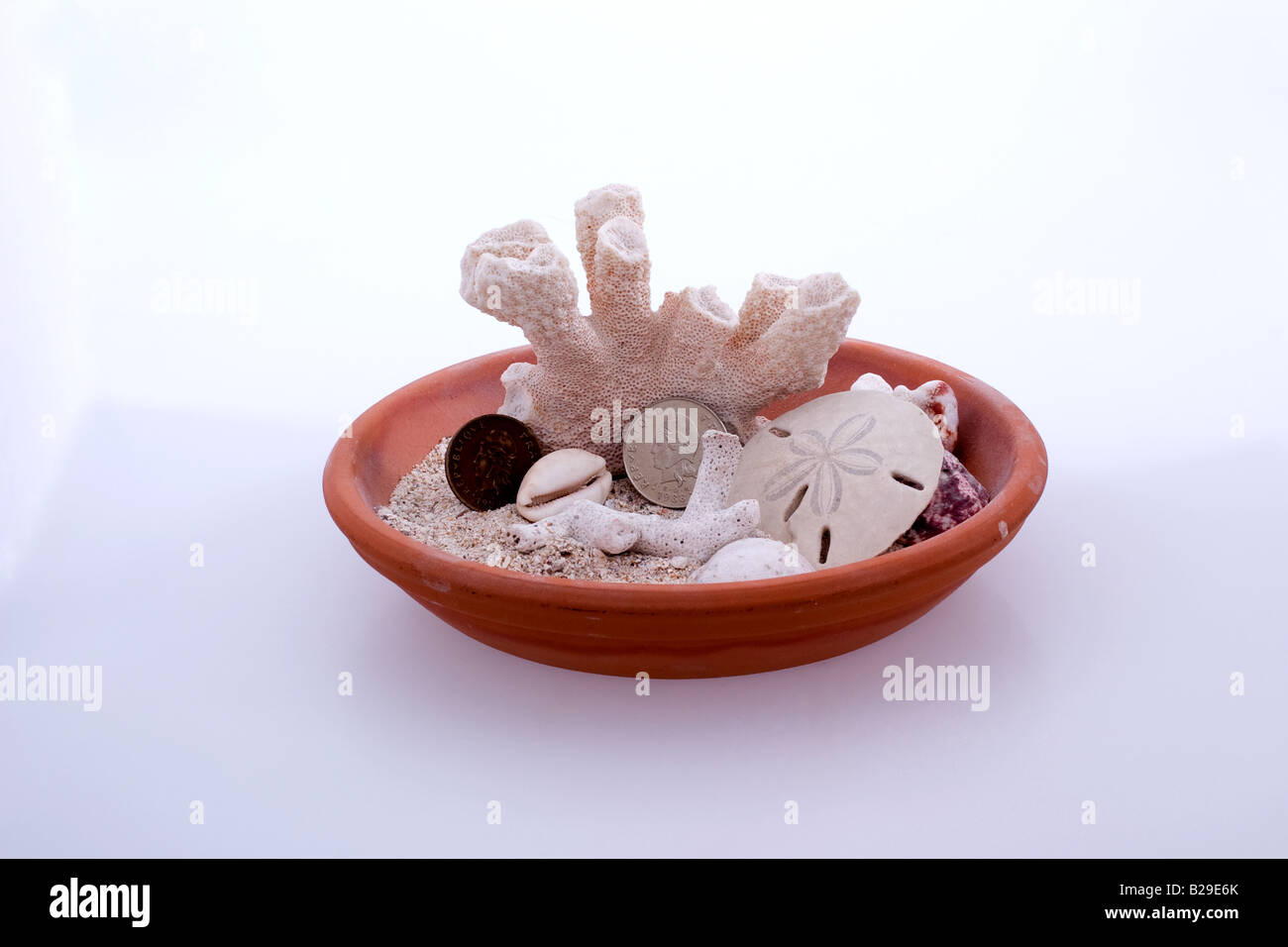 Sand dollar shells hi-res stock photography and images - Alamy