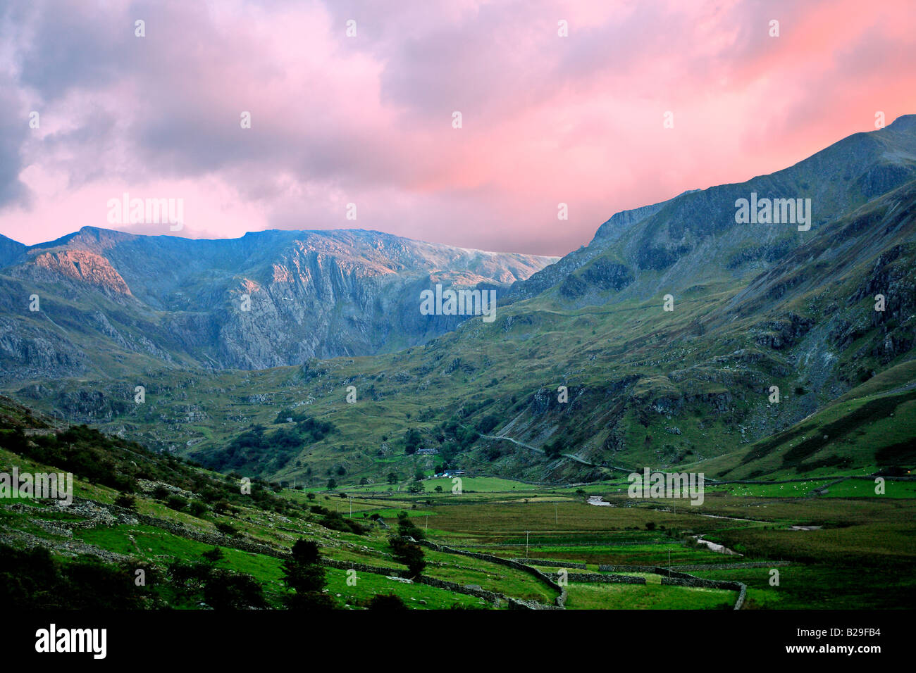 GLYDER FAWR Ref WP STRANGE2685DFWP STRANGE 2685DF Compulsory Credit ...