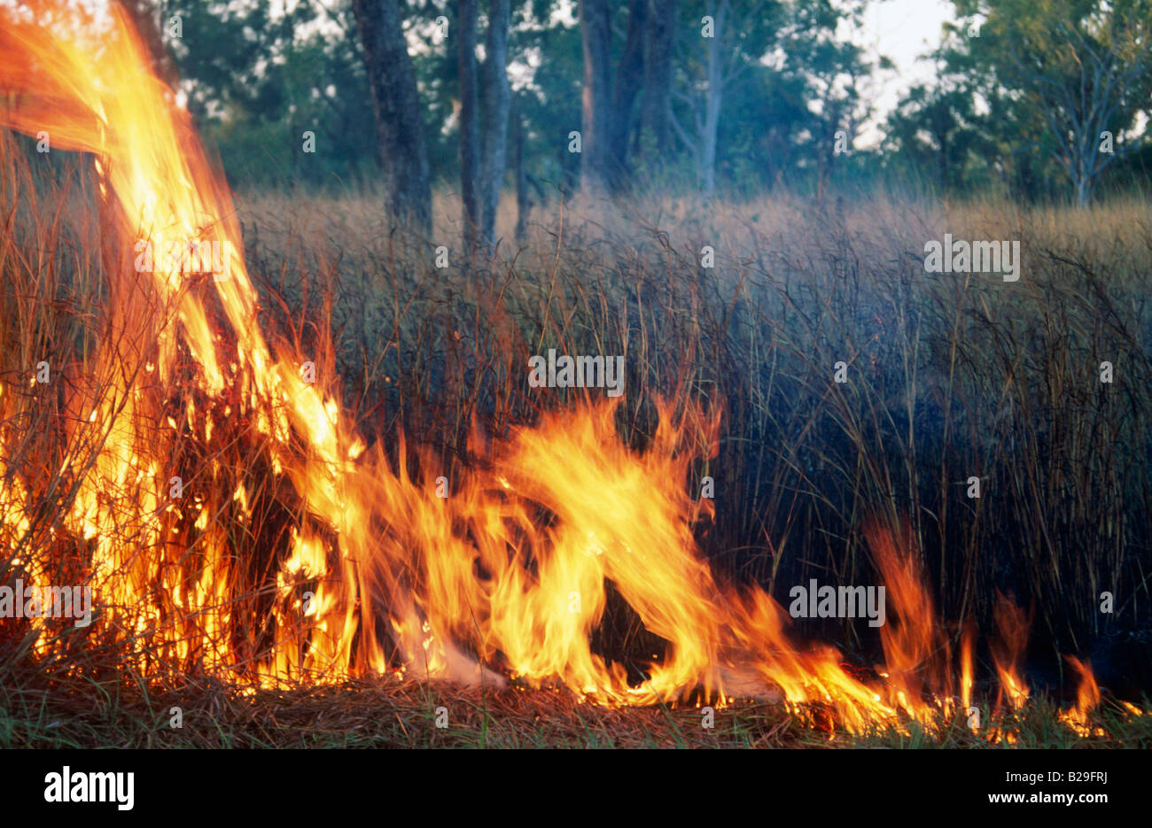 Bush fire hi-res stock photography and images - Alamy