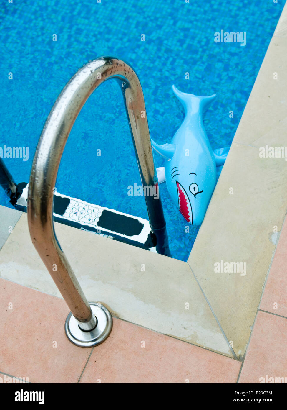 Inflatable shark in swimming pool Stock Photo - Alamy