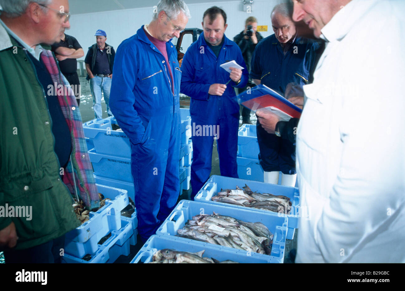 Fish auction hall / Killybegs Stock Photo - Alamy