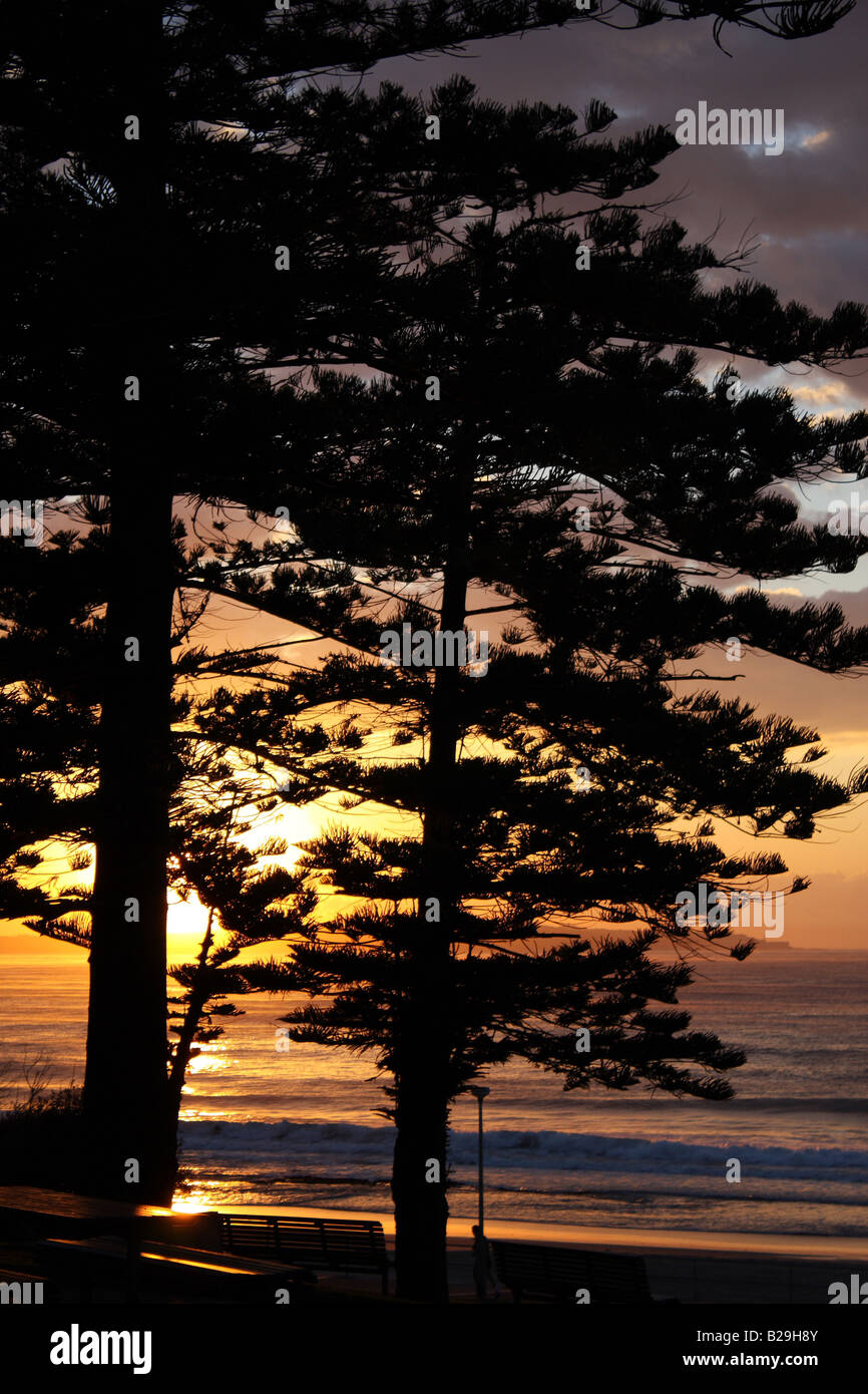 Cronulla beach hi-res stock photography and images - Alamy