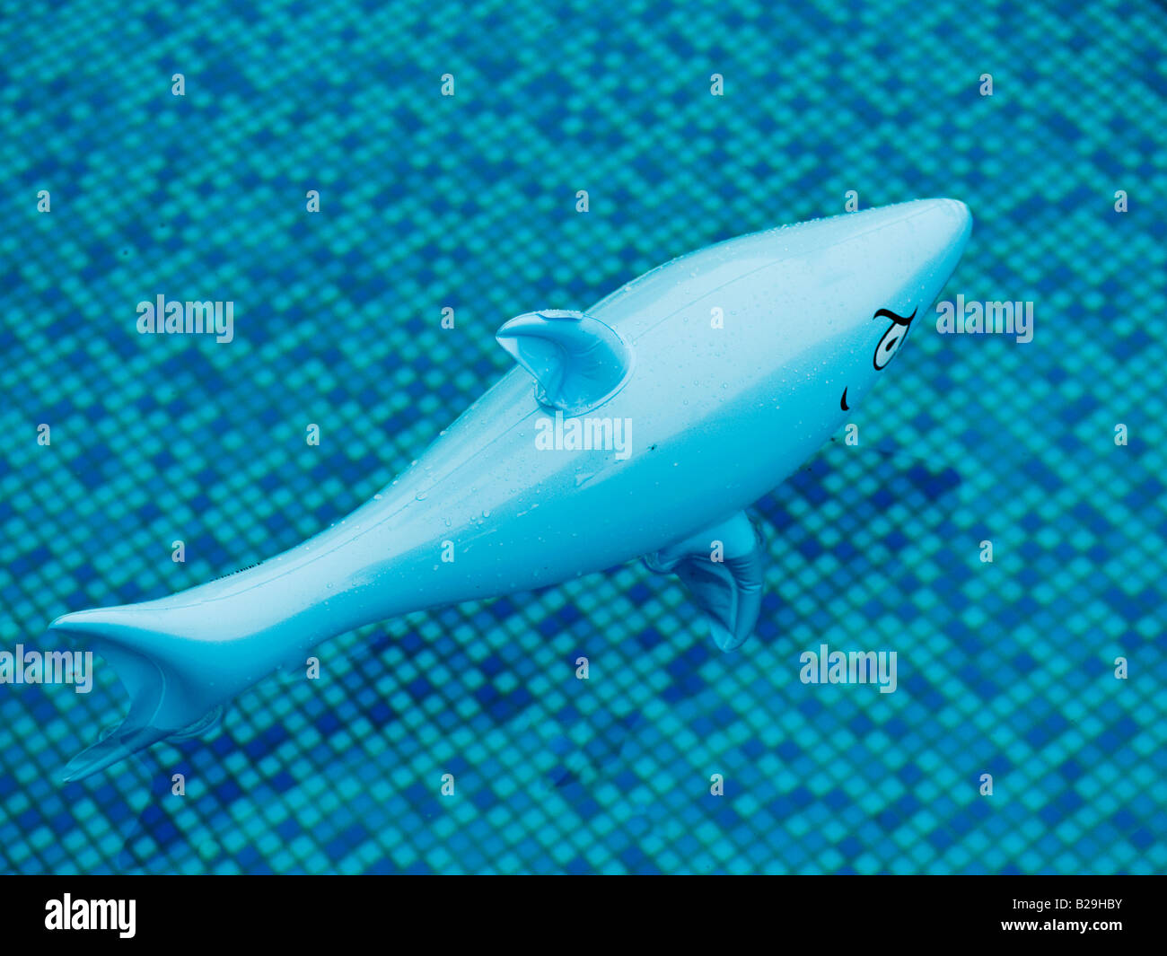 Inflatable shark in swimming pool Stock Photo - Alamy