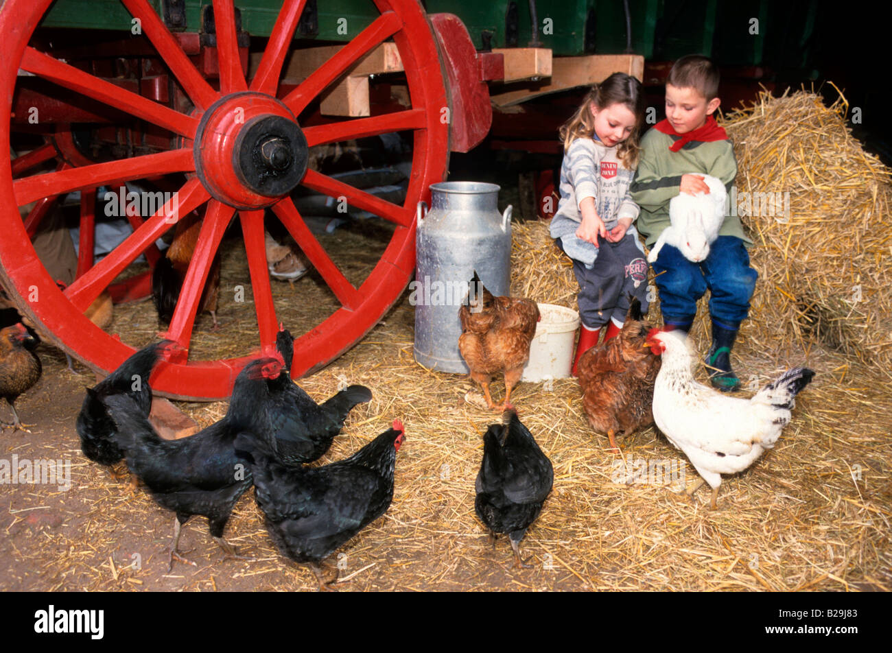 Children and Domestic Fowl Stock Photo - Alamy