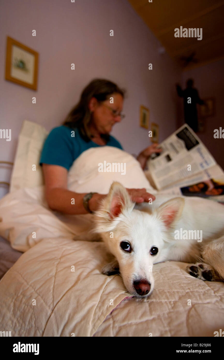 Human breed hi-res stock photography and images - Alamy