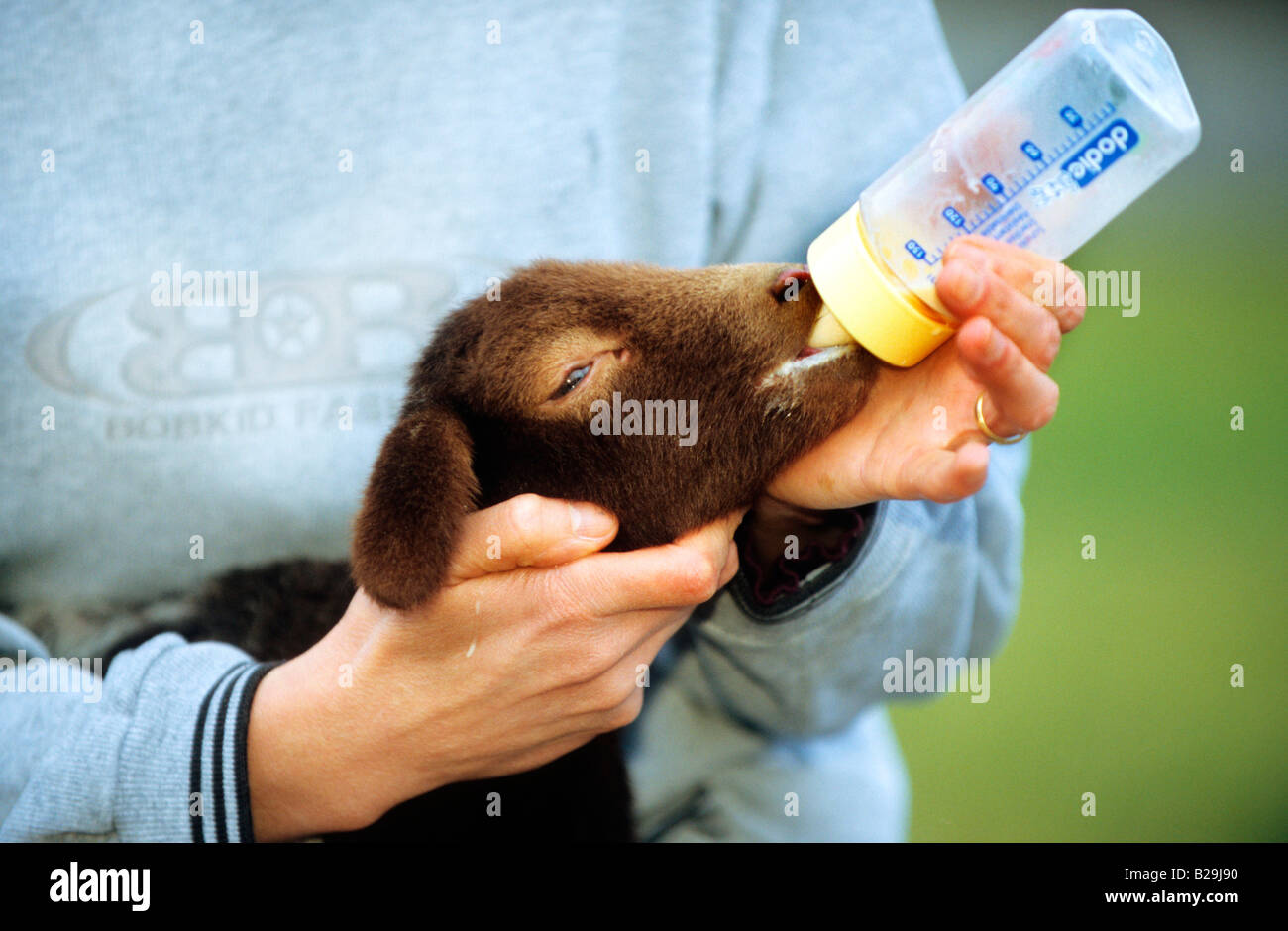 Voskop hi-res stock photography and images - Alamy