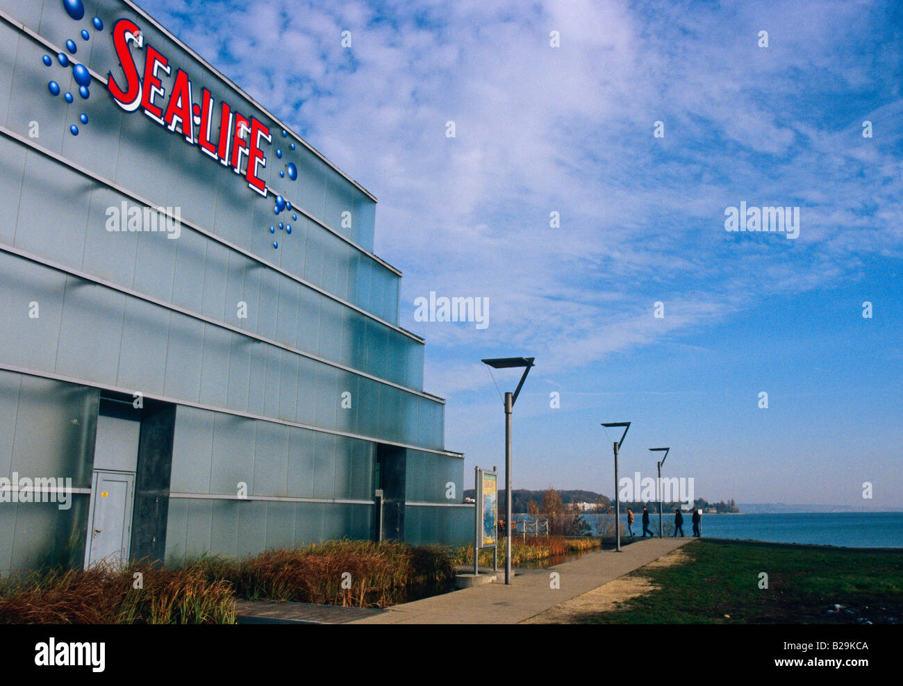 Sea life / Constance Stock Photo - Alamy