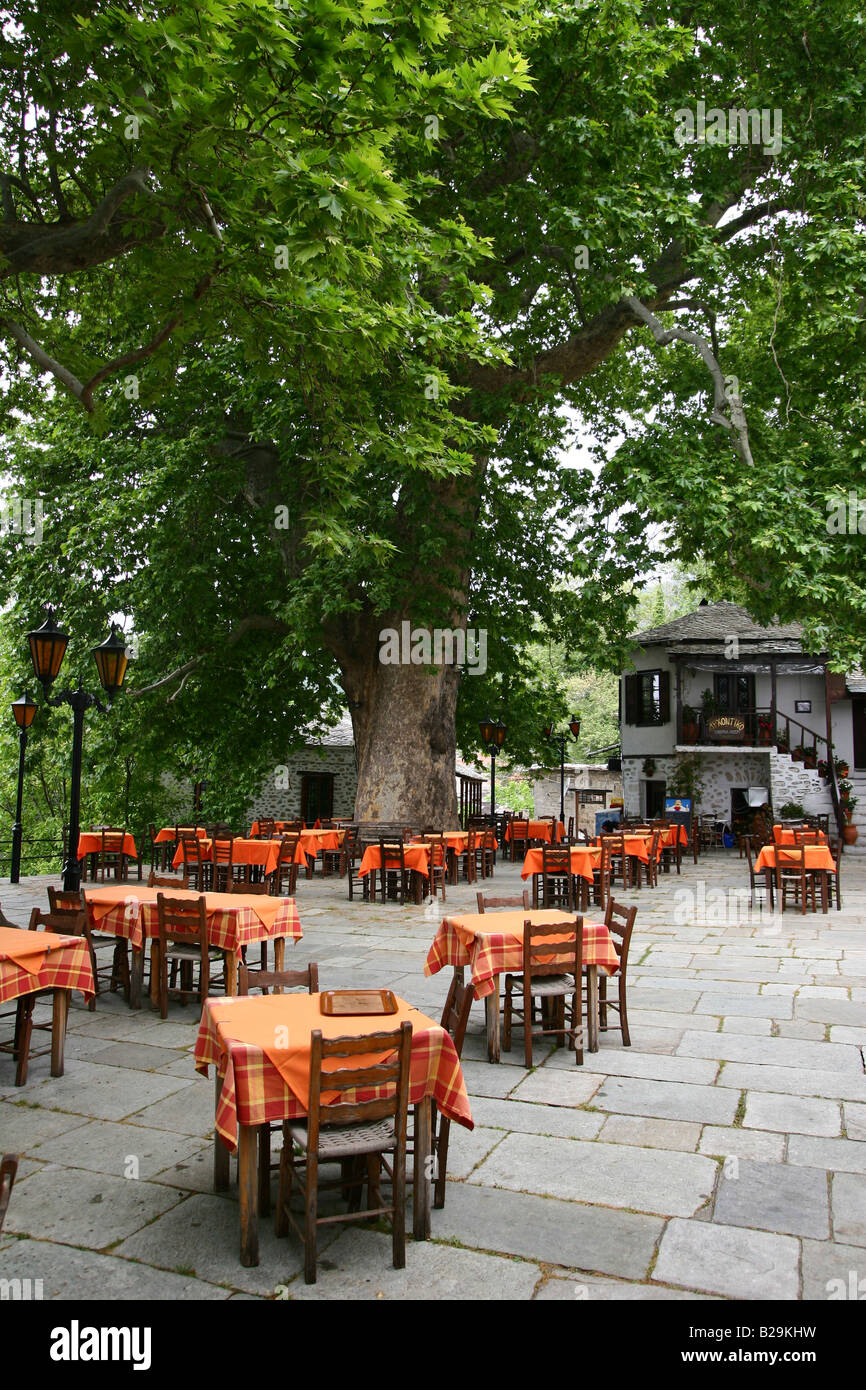 Pelion pelium hi-res stock photography and images - Alamy