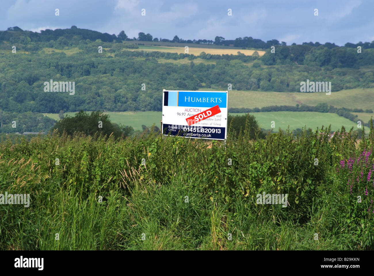 For sale sign uk land hi-res stock photography and images - Alamy