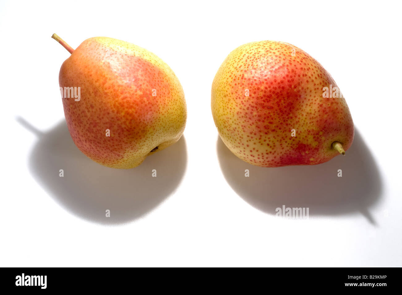 Two Forelle blush pears Stock Photo - Alamy