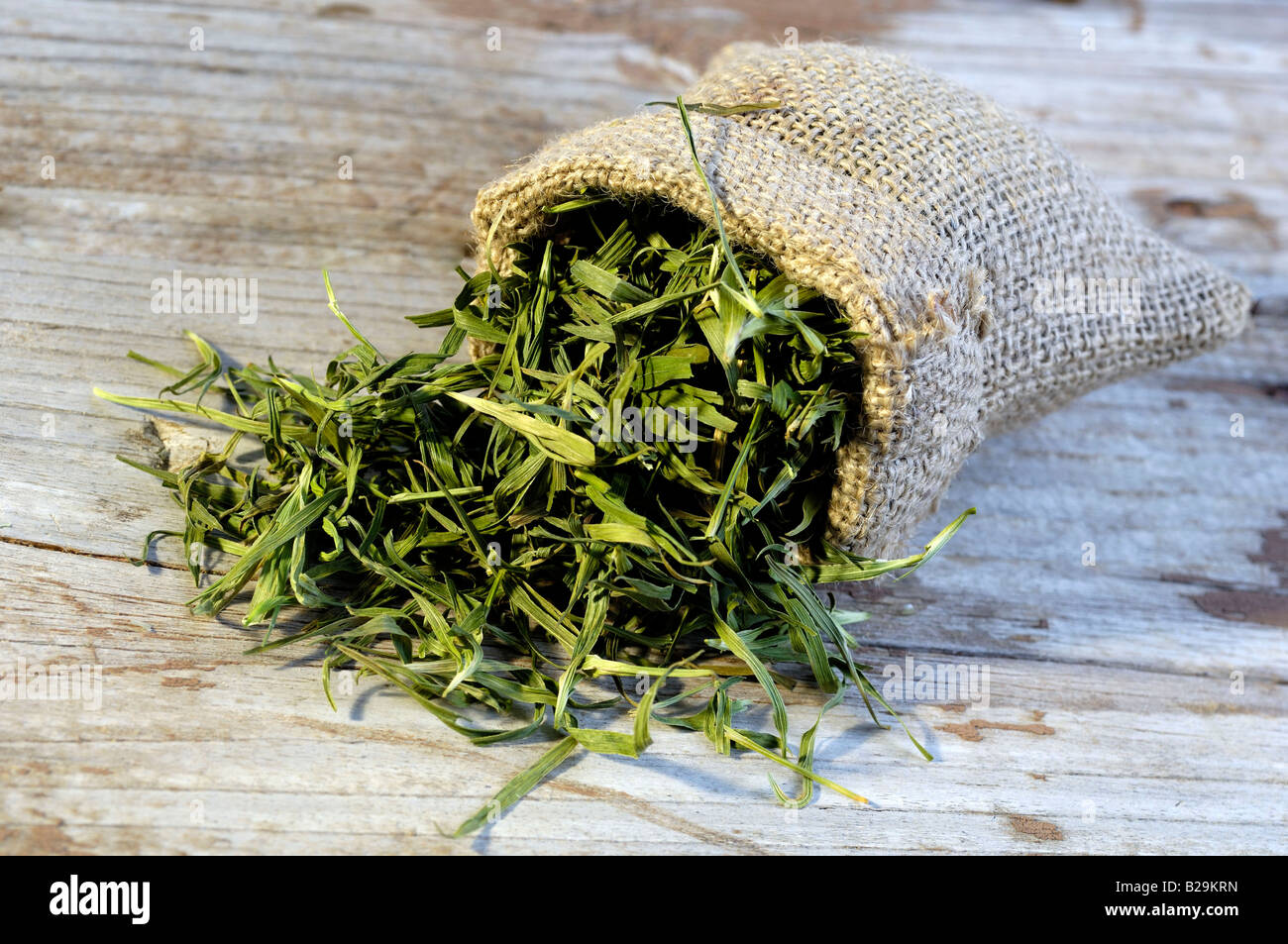 Bamboo leaf hi-res stock photography and images - Alamy