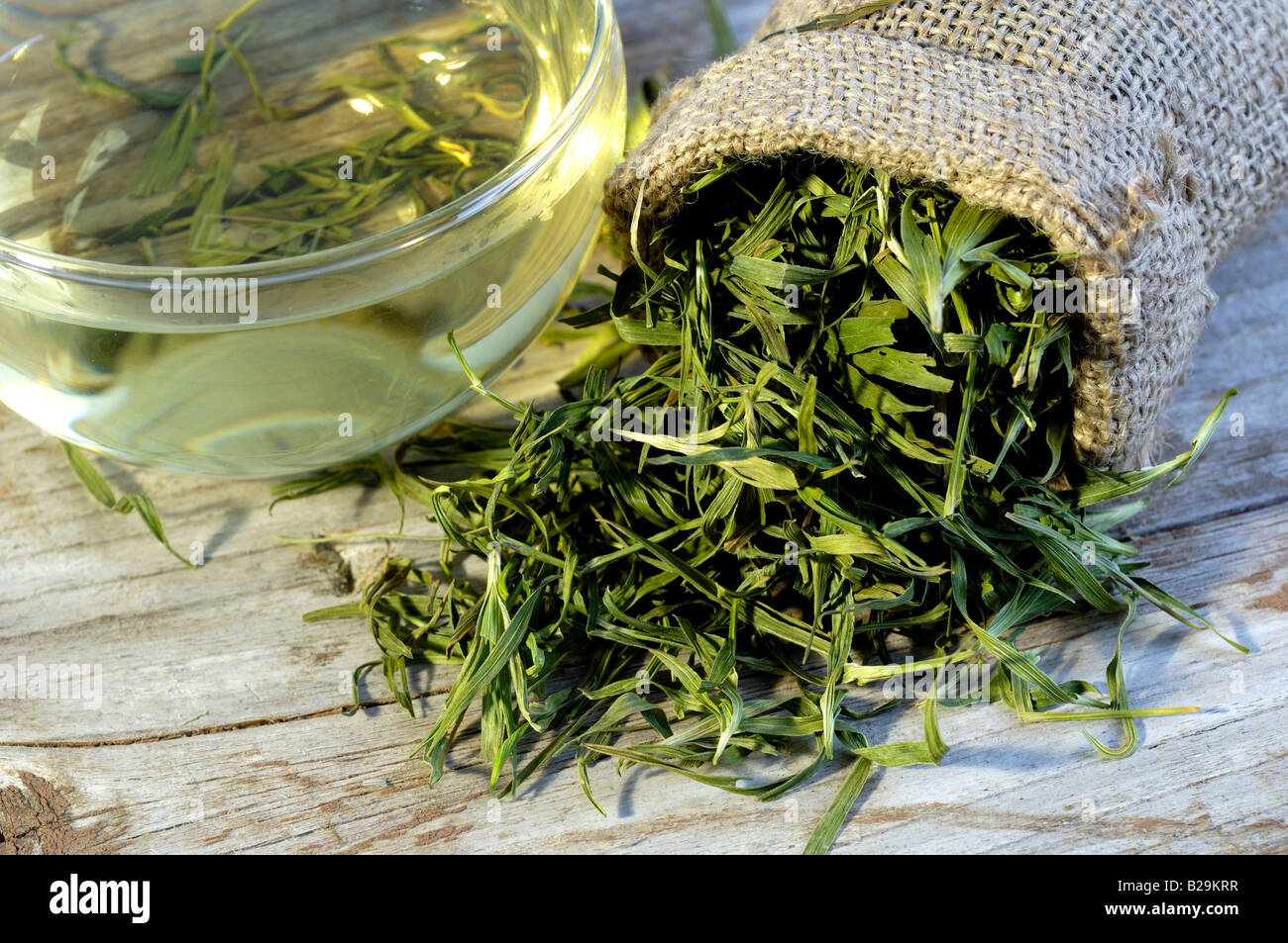 Naturopathy tea hi-res stock photography and images - Alamy