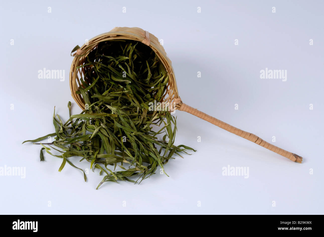 Bamboo cut out hi-res stock photography and images - Alamy