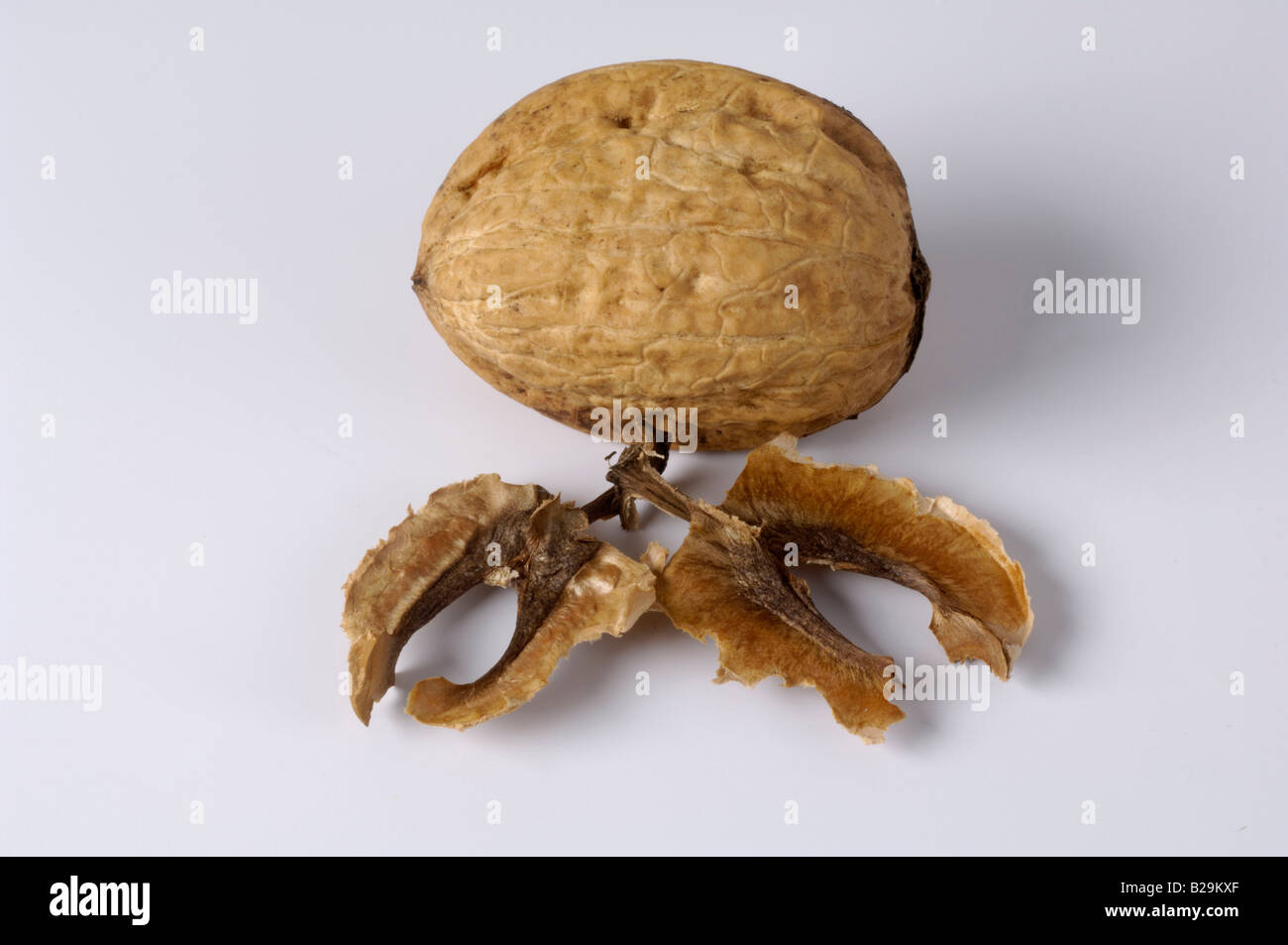 Cut Out Stock Images & Pictures - Alamy