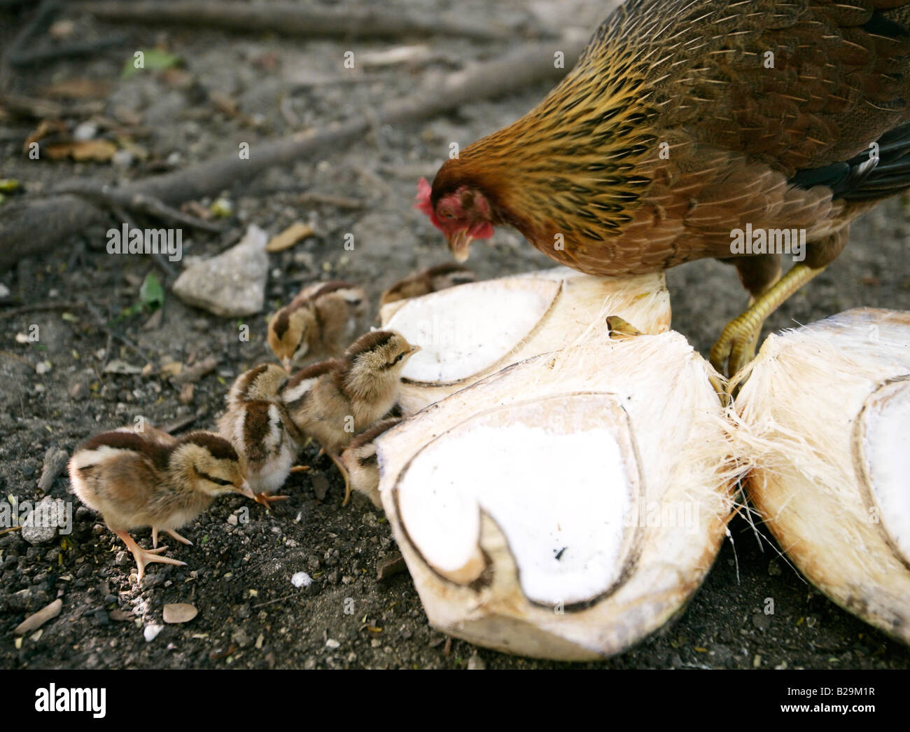 02 04 2006 hi-res stock photography and images - Alamy