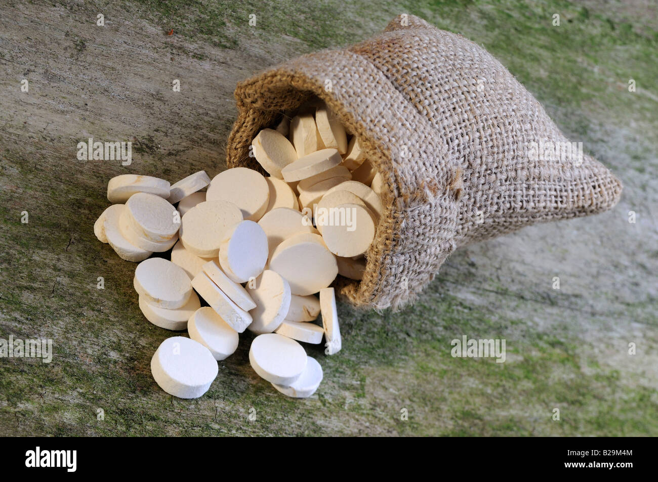 Common Yam / Shan Yao Stock Photo - Alamy