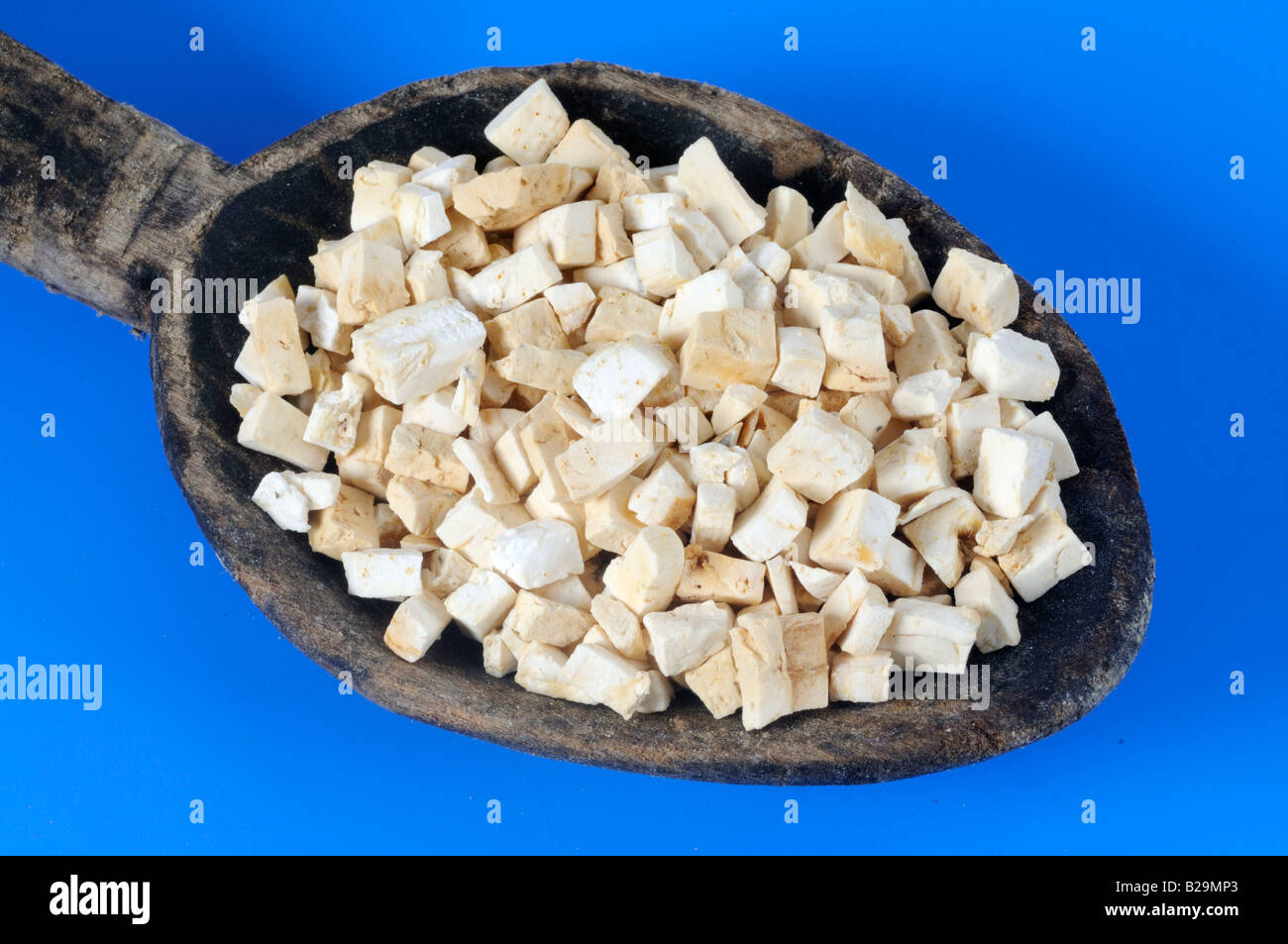 Mongolian Snakegourd Root / Tian Hua Fen Stock Photo - Alamy