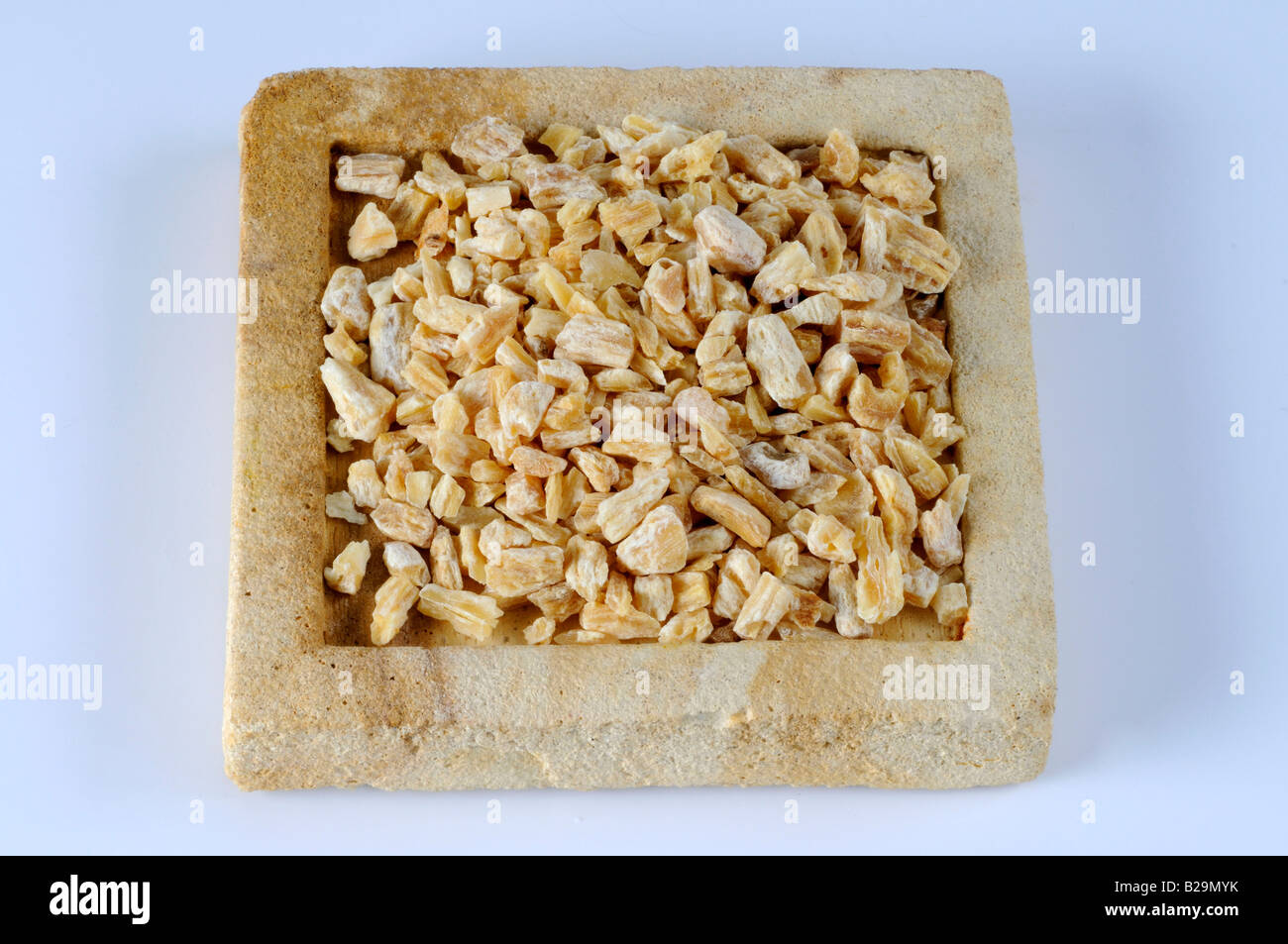 Glehnia Root / Bei Sha Shen Stock Photo - Alamy