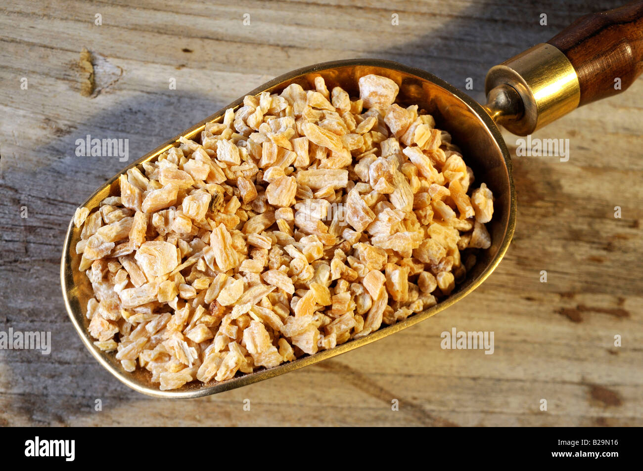 Glehnia Root / Bei Sha Shen Stock Photo - Alamy