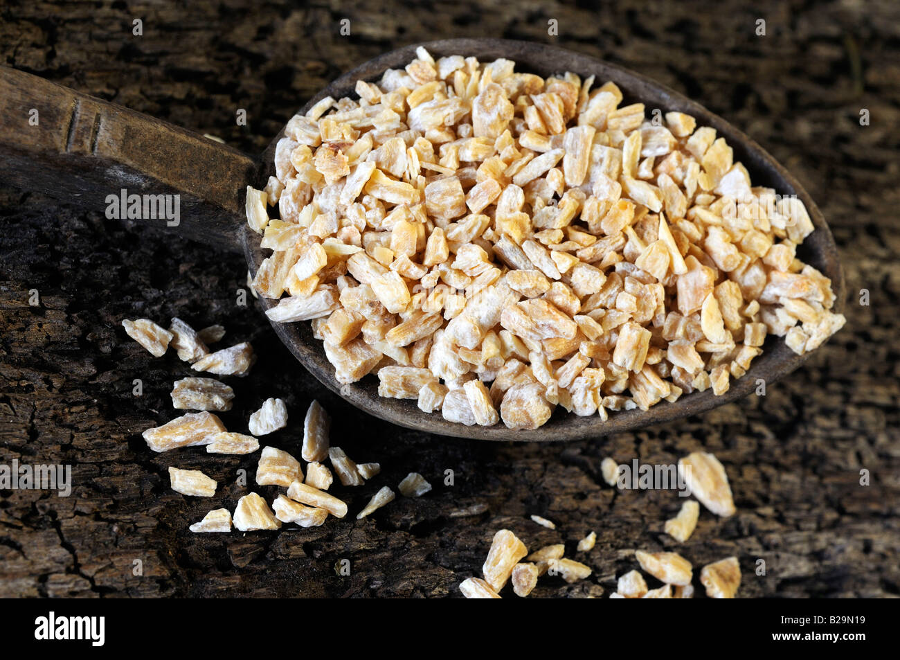 Glehnia Root / Bei Sha Shen Stock Photo - Alamy