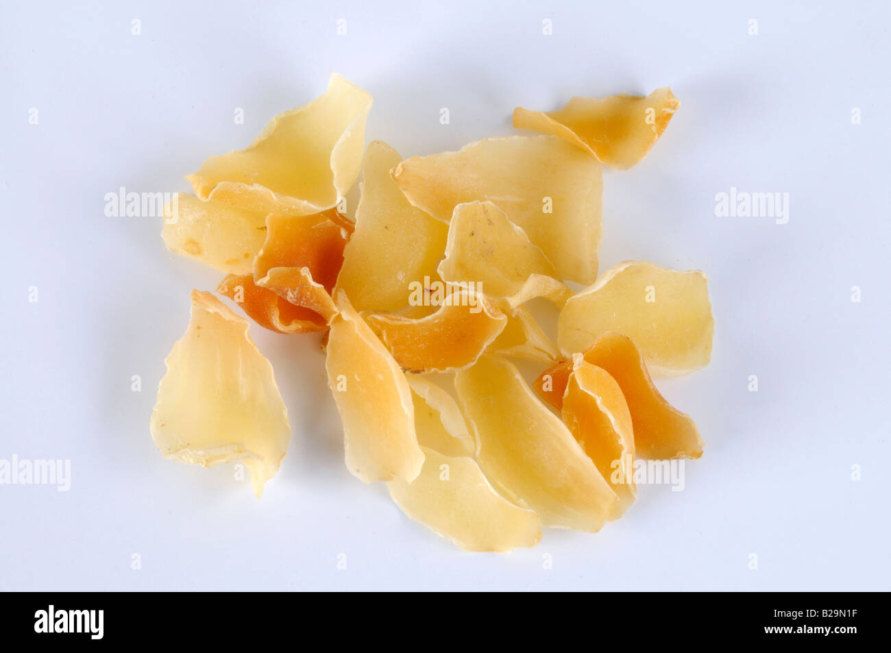 Lily Bulb / Bai He Stock Photo - Alamy