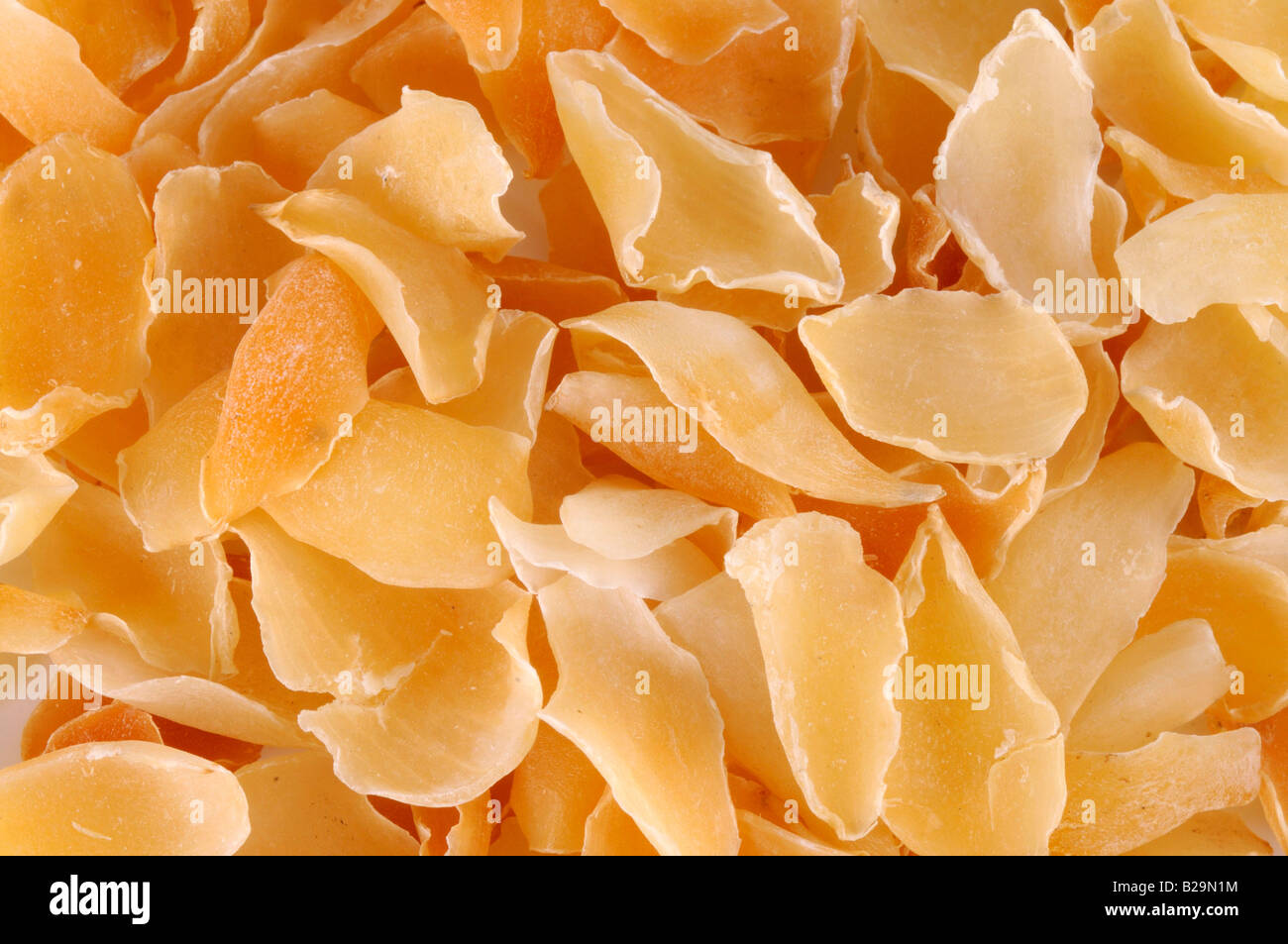 Chinese lily hi-res stock photography and images - Alamy