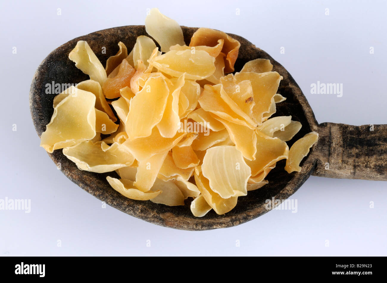 Lily Bulb / Bai He Stock Photo - Alamy