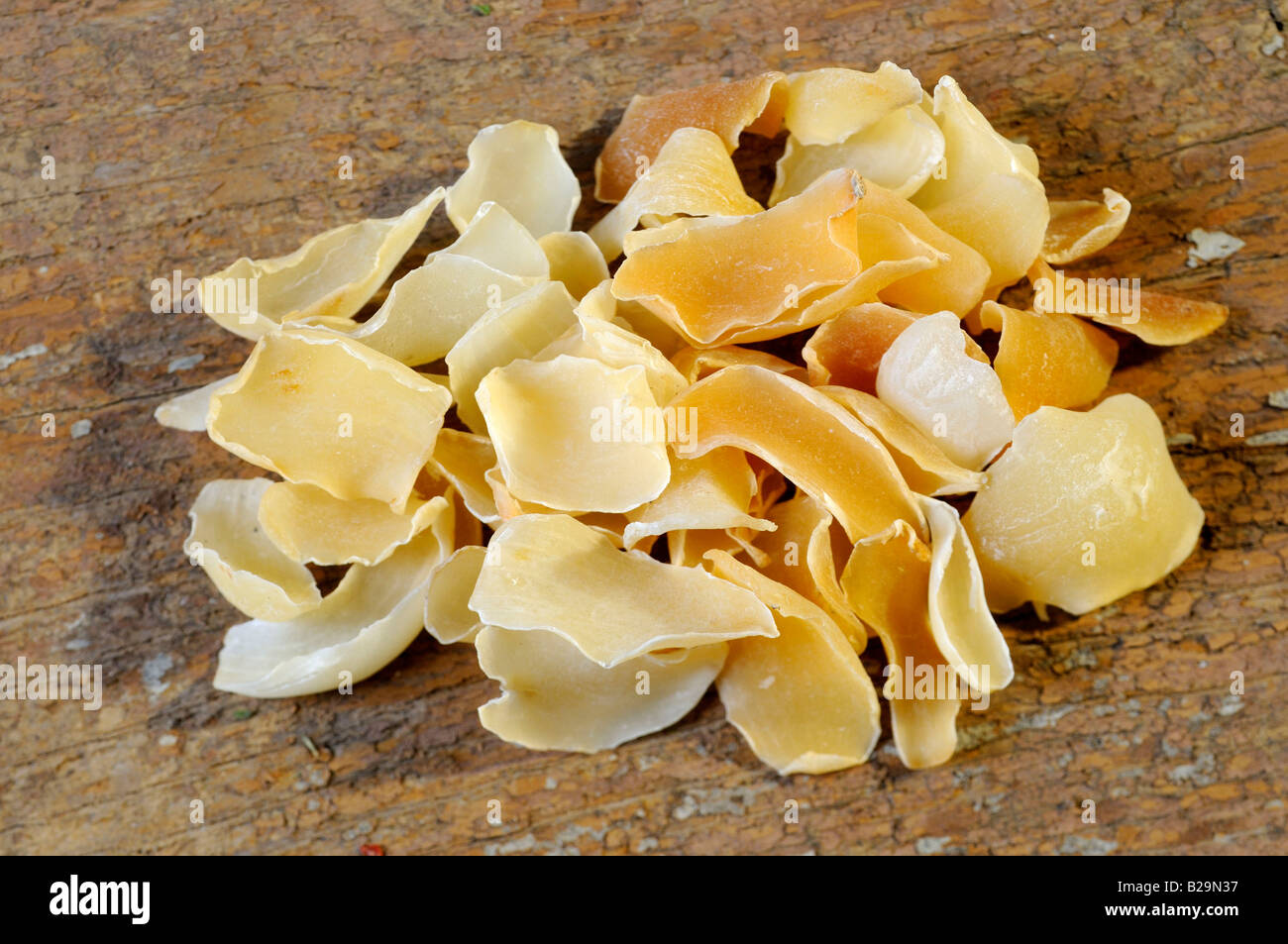 Lily Bulb / Bai He Stock Photo - Alamy