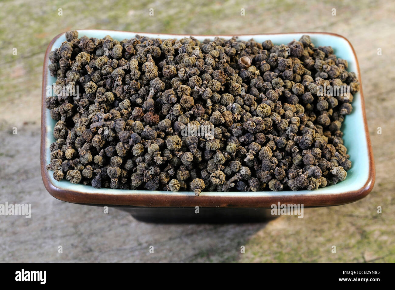 Medicinal Evodia Fruit / Wu Zhu Yu Stock Photo - Alamy