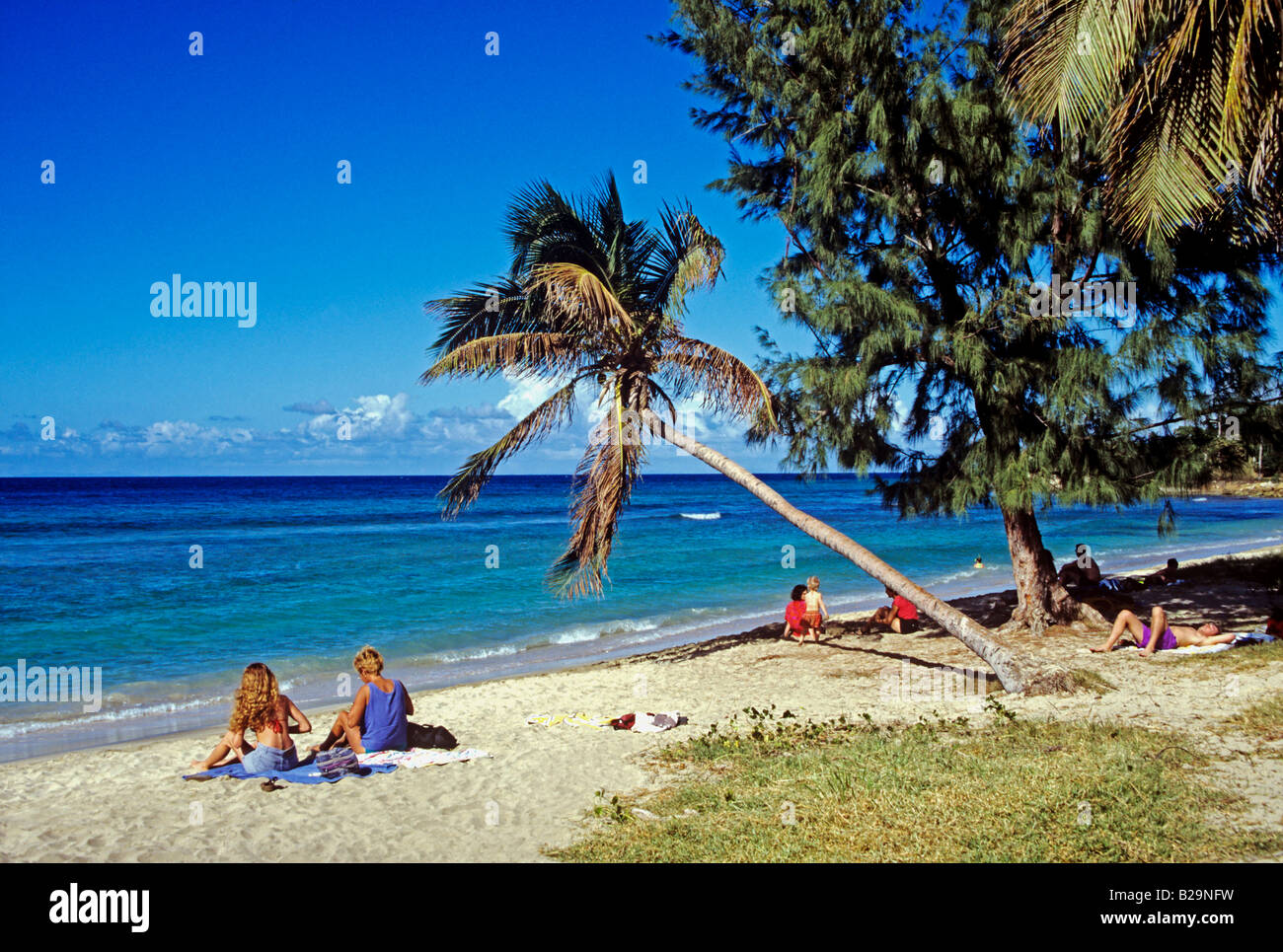 Cane Bay Beach St Croix US Virgin Islands Caribbean Stock Photo - Alamy