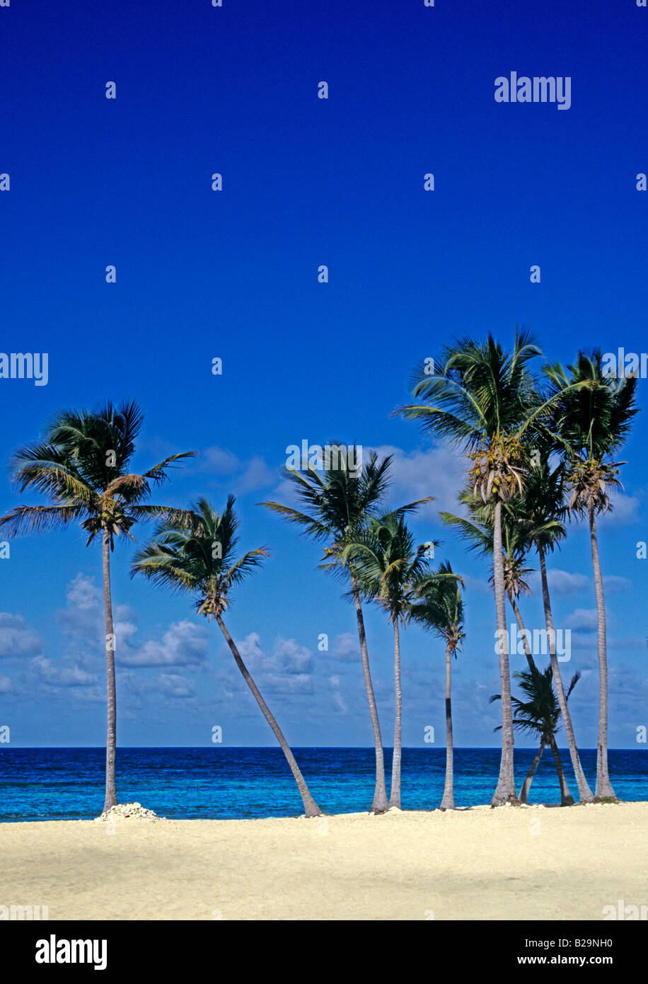 Cormorant Bay Beach St Croix US Virgin Islands Caribbean Stock Photo ...