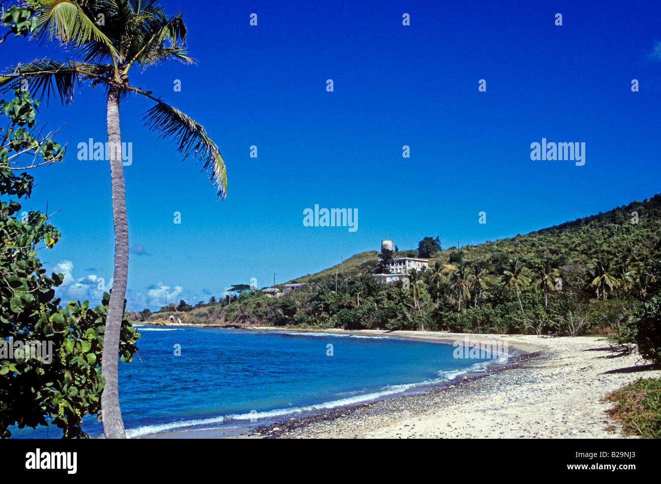 Hams Bay Beach St Croix US Virgin Islands Caribbean Stock Photo - Alamy