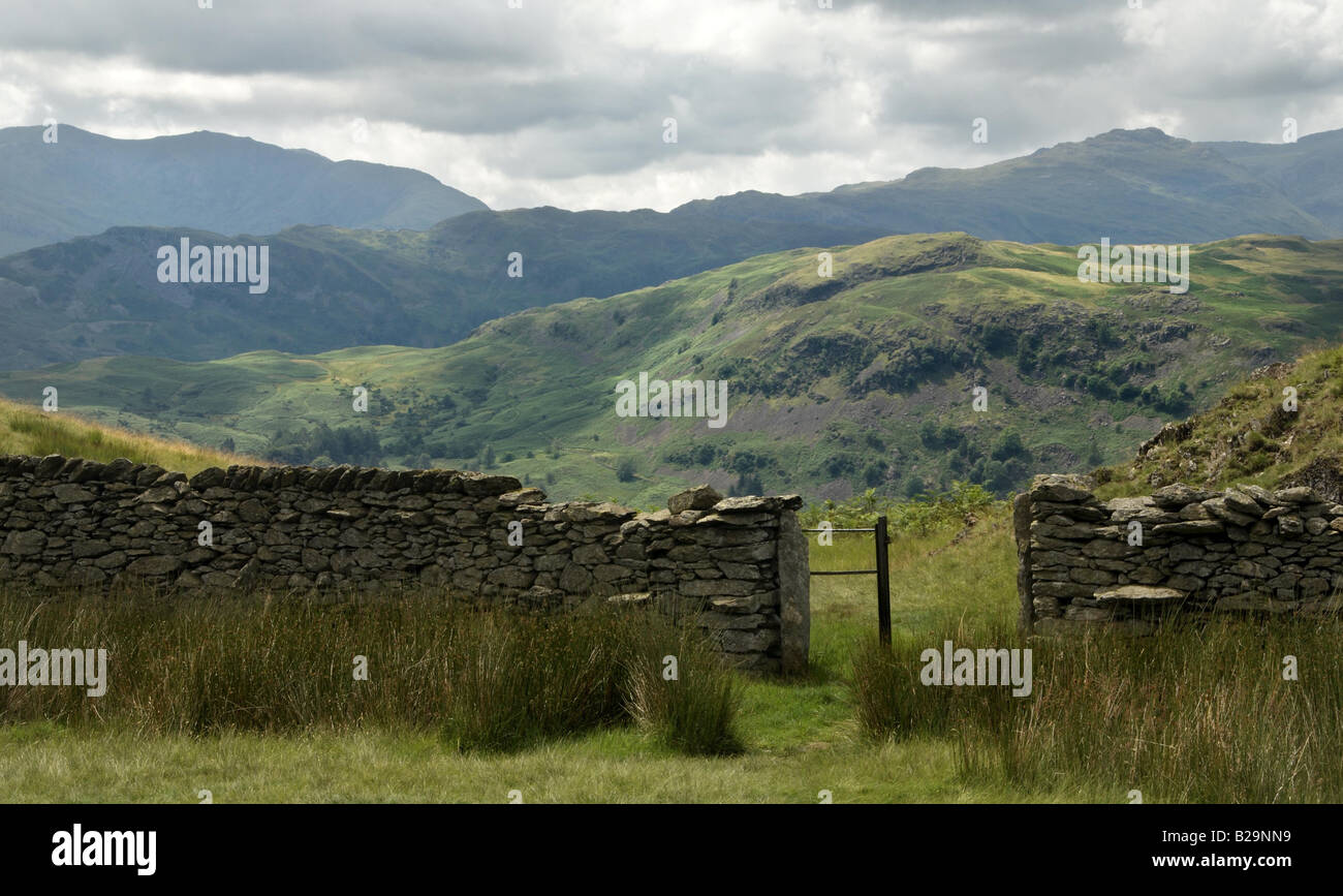 Place Alcock Tarn near Grasmere County Cumbria Country UK Stock Photo ...