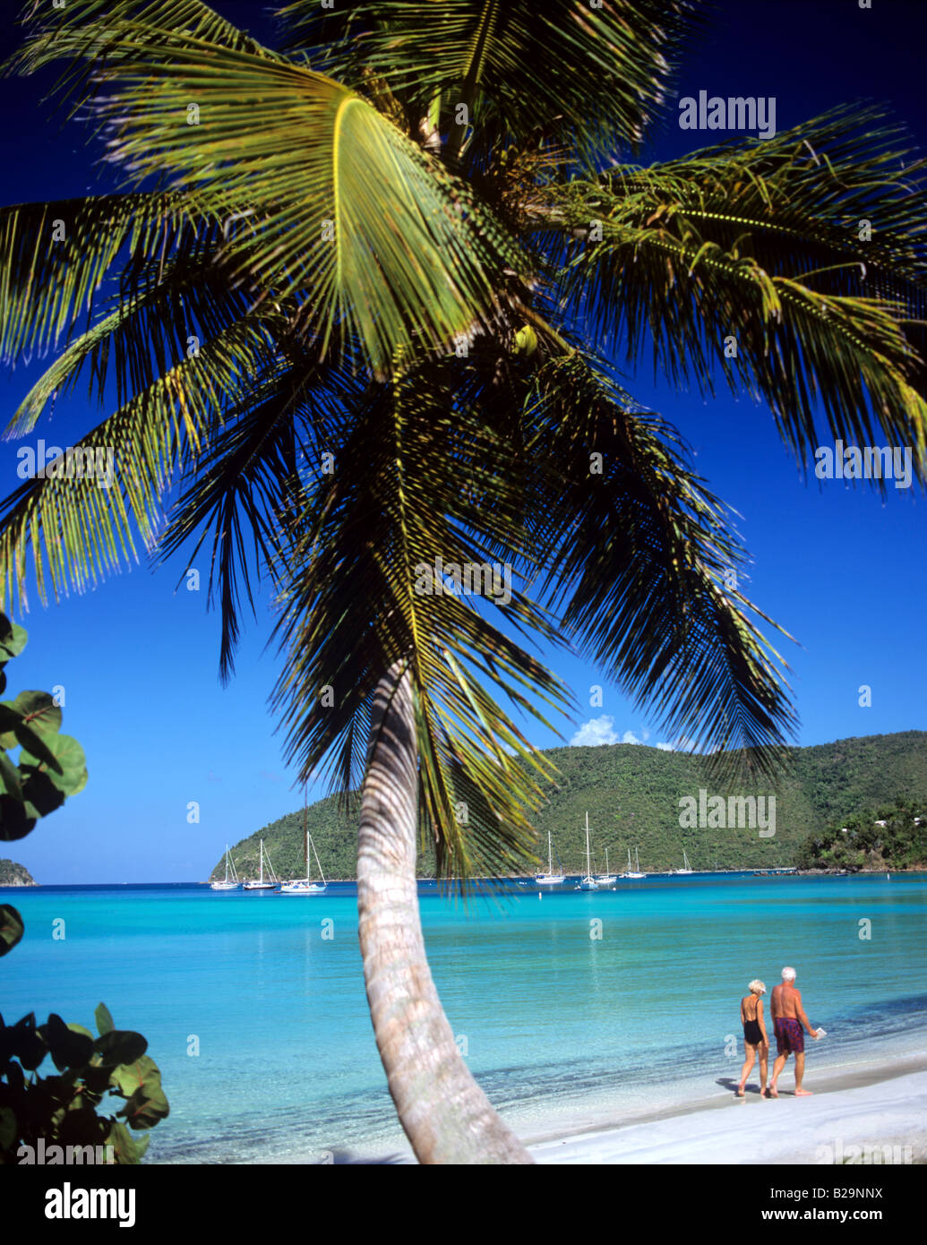 Maho Bay Beach St Johns US Virgin Islands Caribbean Stock Photo - Alamy