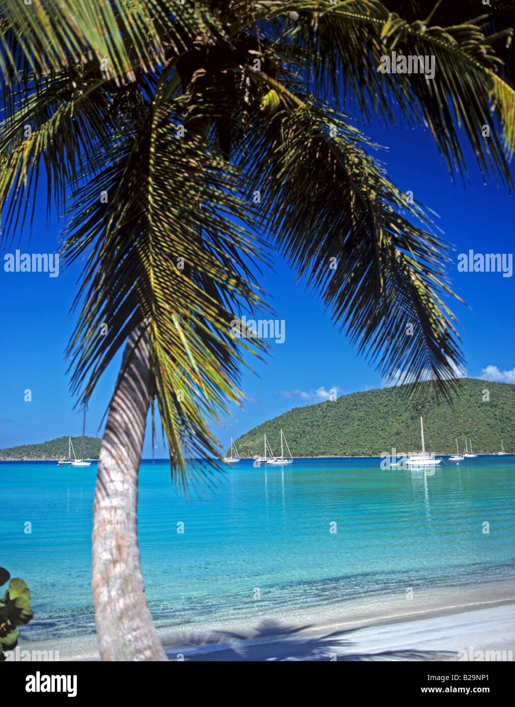 Maho Bay Beach St Johns US Virgin Islands Caribbean Stock Photo - Alamy