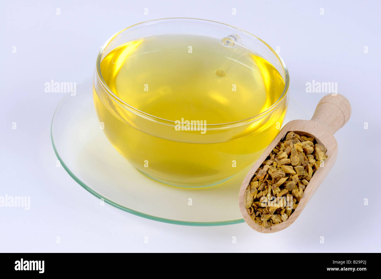 Scullcap High Resolution Stock Photography and Images - Alamy