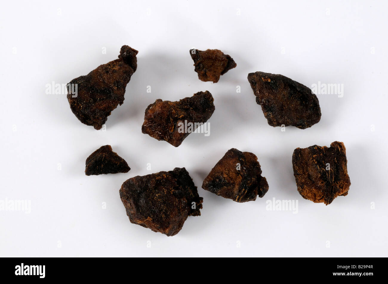 Tuber Fleeceflower Root / He Shou Wu Stock Photo - Alamy