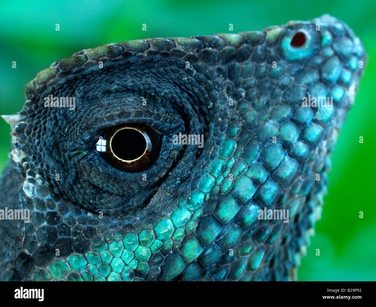 Angle headed hi-res stock photography and images - Alamy