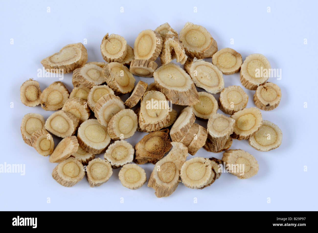 Membranous Milkvetch Root / Huang Qi Stock Photo - Alamy