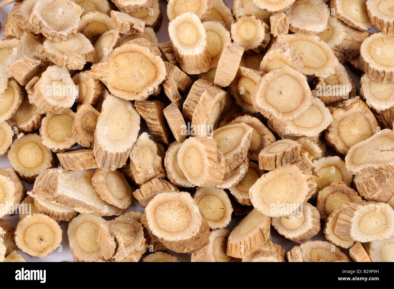 Membranous Milkvetch Root / Huang Qi Stock Photo - Alamy