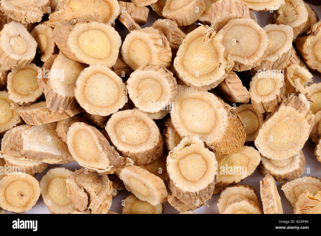 Mongolian milkvetch hi-res stock photography and images - Alamy