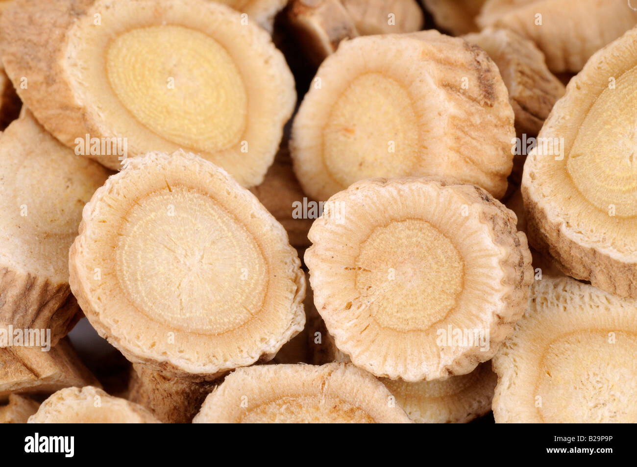 Membranous milkvetch root huang qi hi-res stock photography and images ...