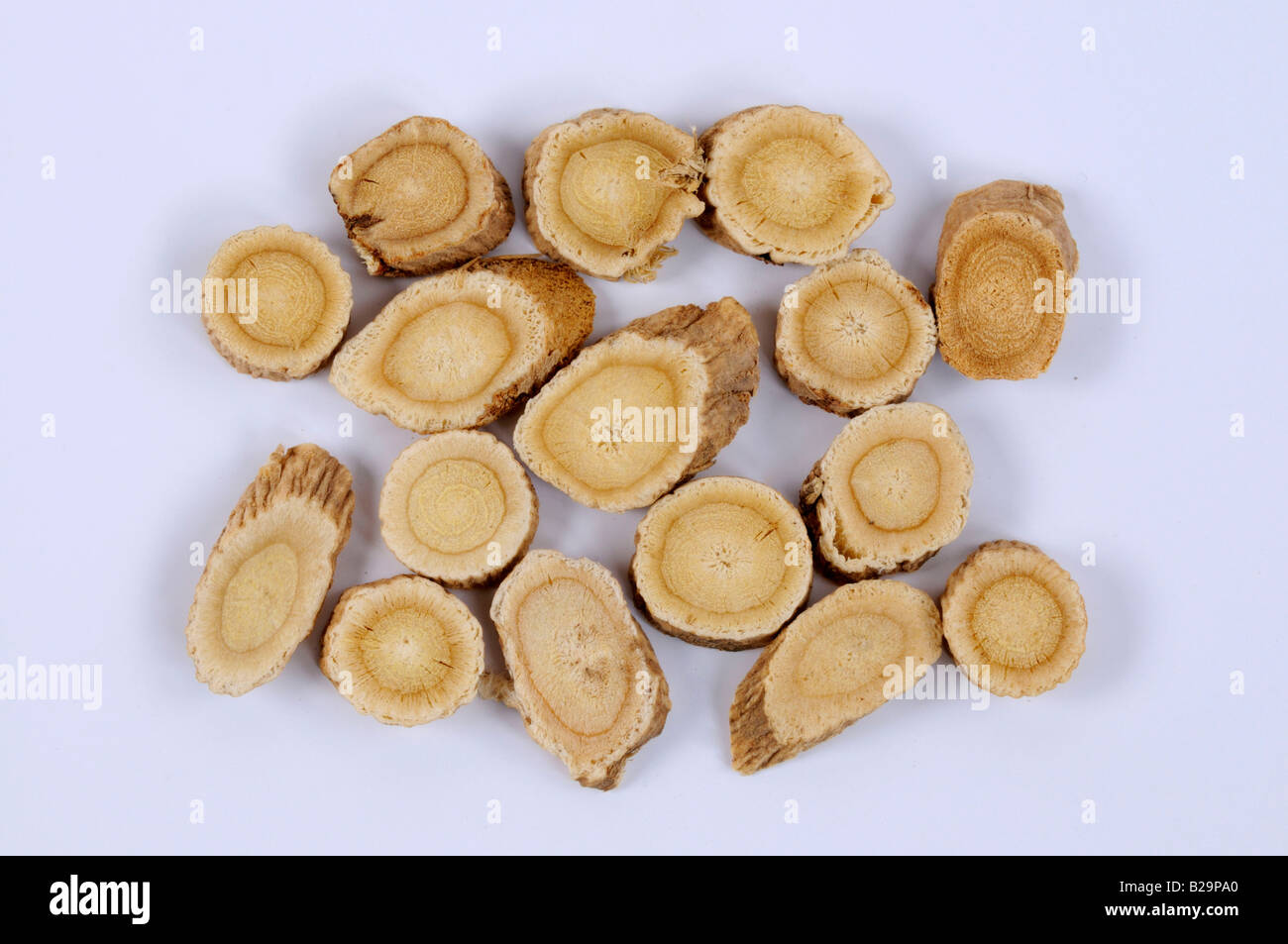 Membranous Milkvetch Root / Huang Qi Stock Photo - Alamy